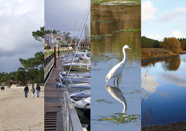 Découvrir Lanton - Ville de Lanton